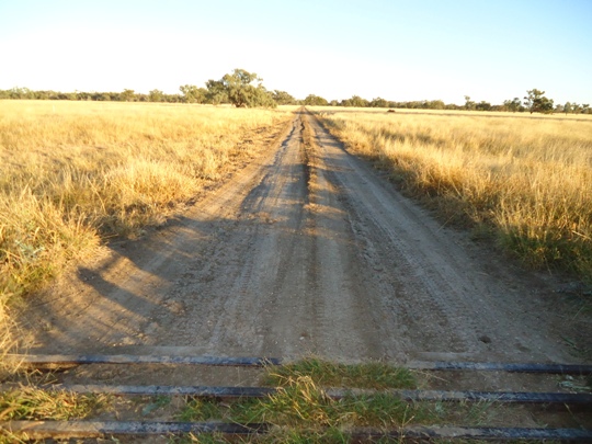 2013 – Bitumen to Bulldust Outback Music Tour – Judith Salmon Travel